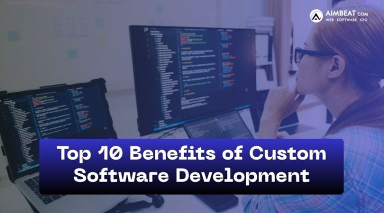Top 10 Benefits of Custom Software Development | Aimbeat